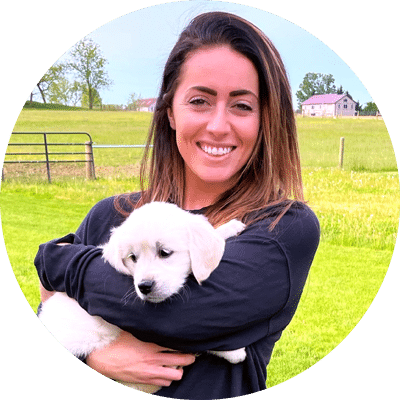 View Puppies for Sale | Lancaster PA Based | Rockvale Puppies